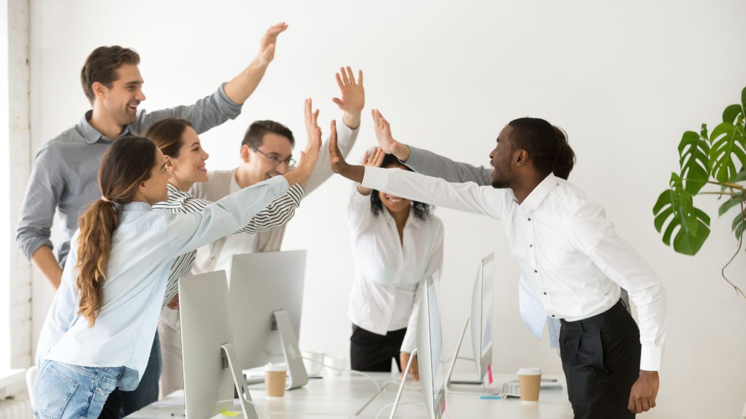 Organizational Culture